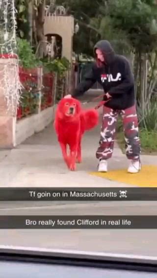 Clifford Irl Rdankvideos