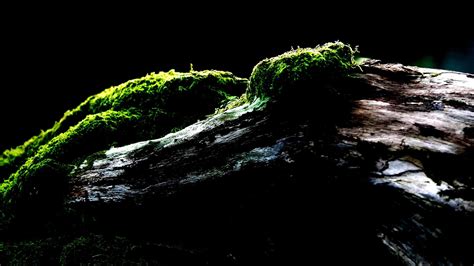 4k Oled Wallpapers For Desktop Pixelstalk
