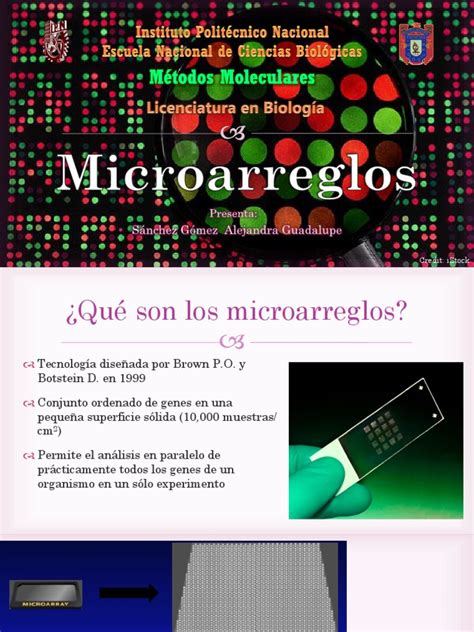 Microarreglos Microarrays Marcador Molecular Pdf Adn Microarray