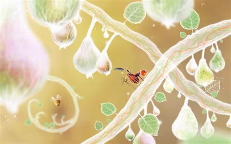 Jaromír Plachý And Amanita Design Botanicula 2 — Vga Gallery