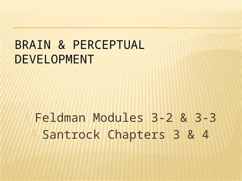 Pptx Brain And Perceptual Development Dokumen Tips