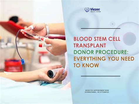 Blood Stem Cell Transplant Donor Procedure Know Everything