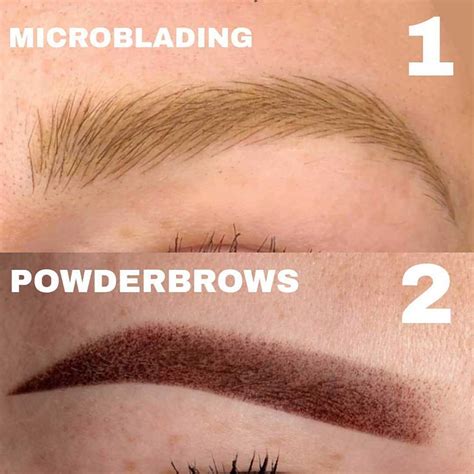 Powder Brows Vs Microblading Differences And How To Choose