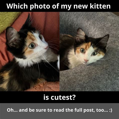 Perry Carpenter On Linkedin Faik Ai Artificialintelligence