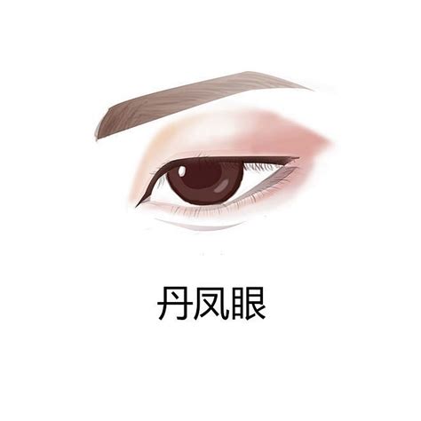 眼睛 卡通 医疗美容整形 眼睛类型 垂眼 上斜眼 圆眼 双眼皮 圆眼 眼部综合 瑞凤眼 丹凤眼 垂眼 柳叶眼 桃花眼 眯缝眼 杏眼 放大双眸 芭比大眼术 目光无神 三庭五眼 眼睑提肌 眼睑下至