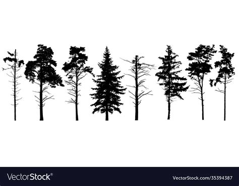 Simple Evergreen Tree Vector