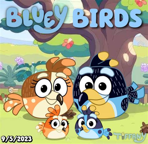 Bluey Bird Dies At Frank Duke Blog