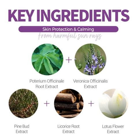 Acwell Solar Defence Licorice Sunscreen Spf 50 Pa K Beautyci