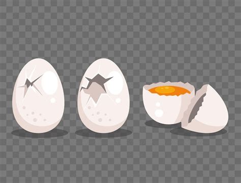 Premium Vector Egg Broken Shell Chicken Eggshell Crack Isolated Set