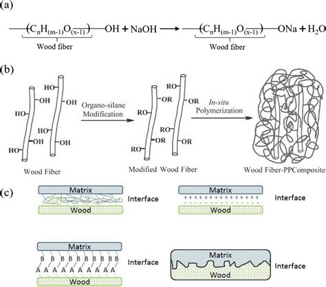 A The Model Of Alkali Treatment B The Model Of Organo Silane Download Scientific Diagram