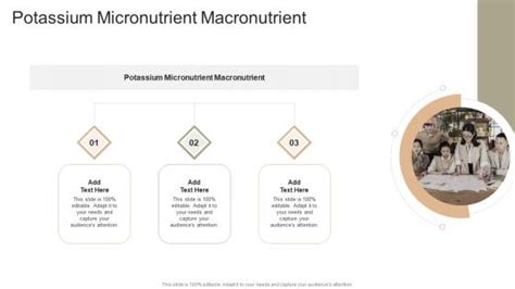 Potassium Micronutrient Macronutrient Powerpoint Presentation And