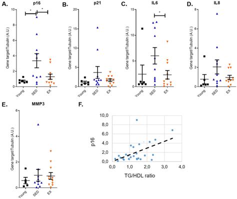 Long Term Intensive Endurance Exercise Training Is Associated To