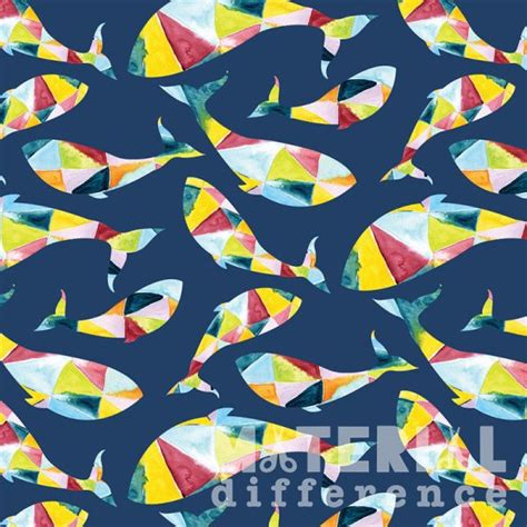 Whales Rkd Material Difference