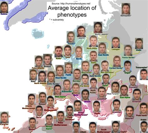 Male Phenotypes Across Europe And Surrounding Maps On The Web