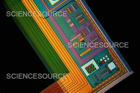 ccd camera sensor light micrograph stock image science source images