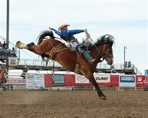 Saddle Bronc Riding Gear At Elaine Osborn Blog