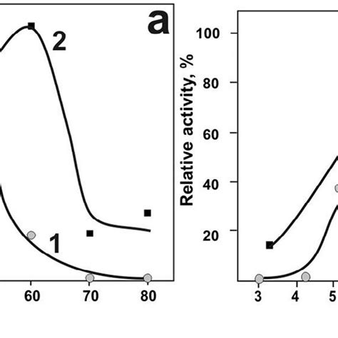 Adsorption Of A Bacteria Ralstonia Eutropha And B Nitrilase From