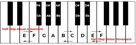 Half Steps And Whole Steps Explained Phamox Music
