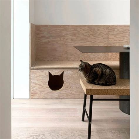 Mushroom Mycelium Design Dezeen