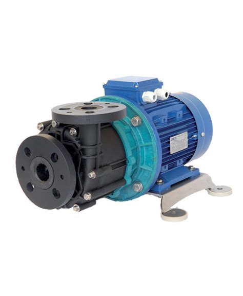E Ctfe Halar® Route Pumps Uae The Standard Group