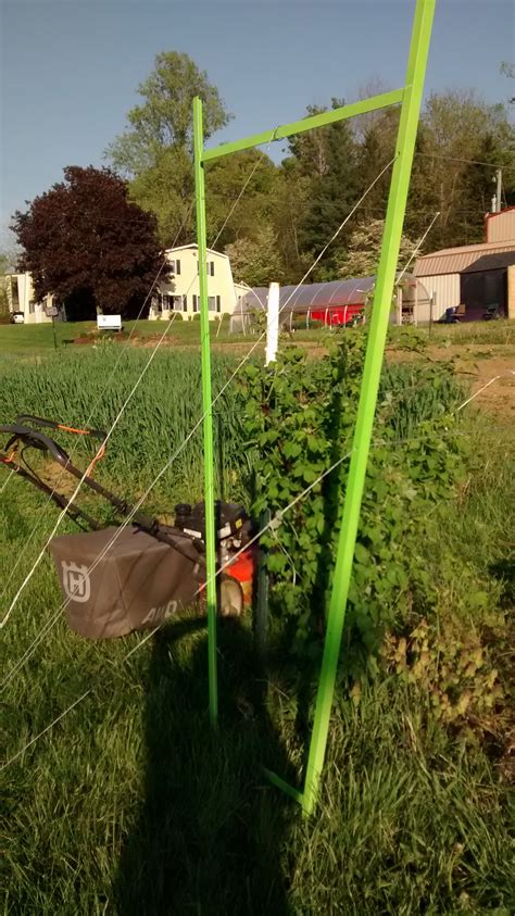 Raspberry Trellis ~ Grow Appalachia