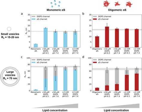 α Synuclein Oligomers Displace Monomeric α Synuclein From Lipid