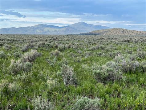 20 Acres In Lassen County California