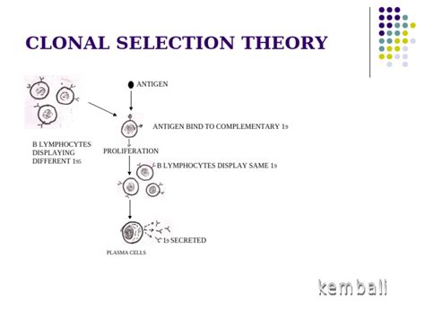 Theory 4 Clonal Pdf