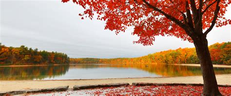 Top Fall Foliage Spots In Massachusetts