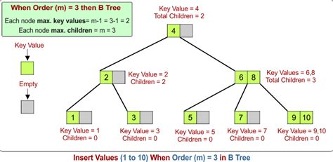 Introduction To B Tree In Data Structure Cs Taleem