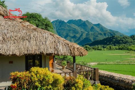 Top 10 Affordable Homestay In Mai Chau With The Best Views