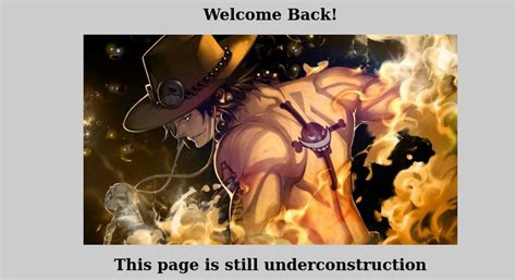 Cache Hackthebox Walkthrough Geek Girl