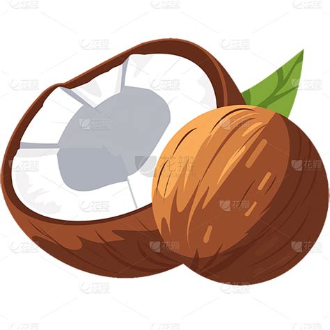 通用插画卡通椰子元素素材