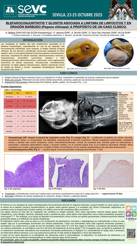 Pdf Blefaroconjuntivitis Y Glositis Asociada A Linfoma De Linfocitos