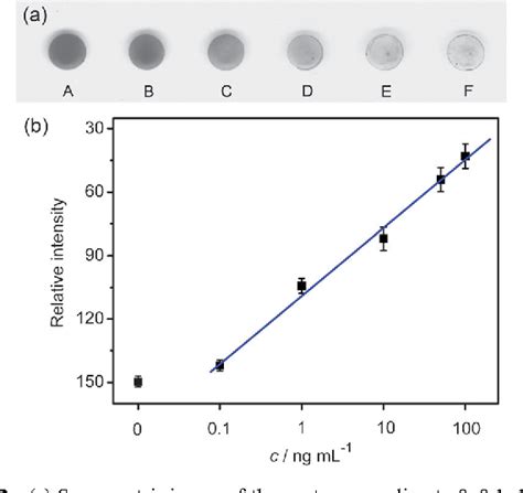 Figure 2 From Ultrasensitive Scanometric Strategy For Detection Of Matrix Metalloproteinases