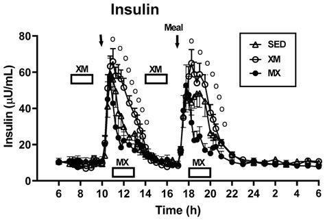 Exercise And Meal Timing Effects On Insulin Concentrations Circle