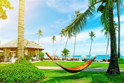 Wunderschöner Strand Hängematte Zwischen Zwei Palmen Am Strand Urlaubs Und Ferienkonzept