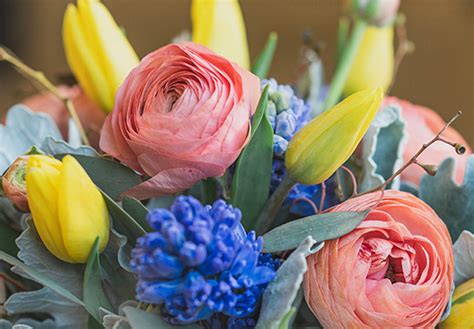 May Flowers The Best Blooms To Brighten Up Your Home Blog