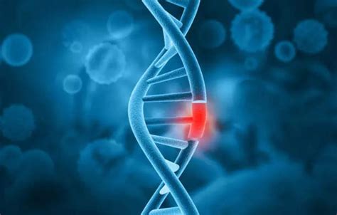 Researchers Suggest Effects Of Genetic Mutations On Rna Formation Et Healthworld