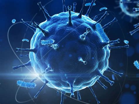Respiratory Pathogen Panel Rpp Test All Seniors Foundation