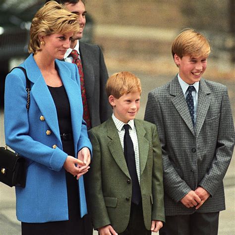 How Prince Harry And Prince William United In Honor Of Princess Diana