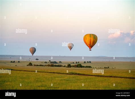 Hot Air Balloons Floating Over The Maasai Mara In Kenya Stock Photo Alamy