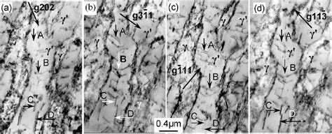 Dislocations Configuration Within The Rafted γ′ Phase After Crept For Download Scientific