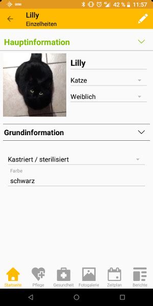 Mit 11pets Die Gesundheit Des Haustieres Im Blick Behalten Netzpilotende