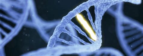 Next Generation Dna