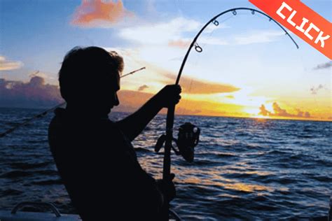 Krabi Travel And Tour One Day Tour Krabi From Krabi Krabi Island