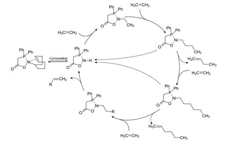 Shell Higher Olefin Process Wikipedia
