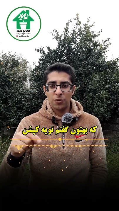 ۴ نکته مهم برای نگهداری از گل یوکا گیاهانآپارتمانی یوکا گیاهان Youtube