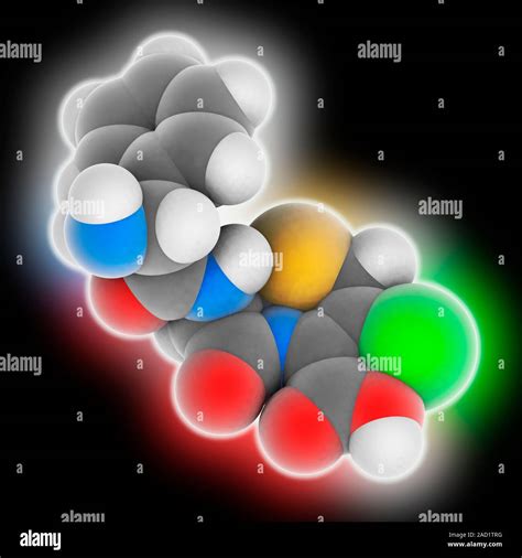 Cefaclor Molecular Model Of The Antibiotic Drug Cefaclor C15h14cl