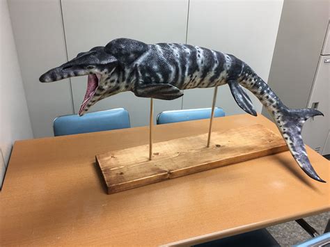 Tylosaurus Skeleton